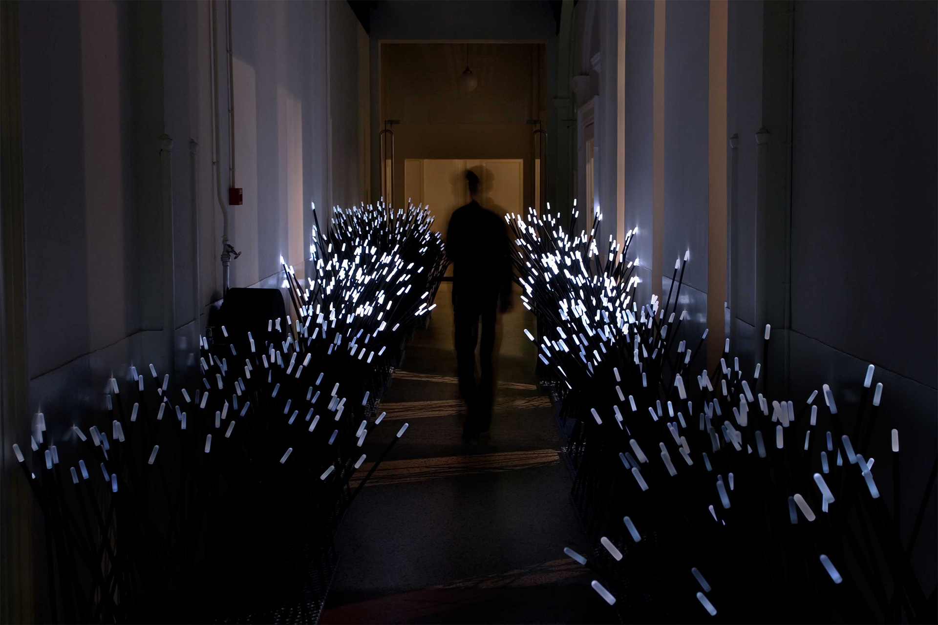 Interview with Daan Roosegaarde on environment and design - Atmosfera Mag