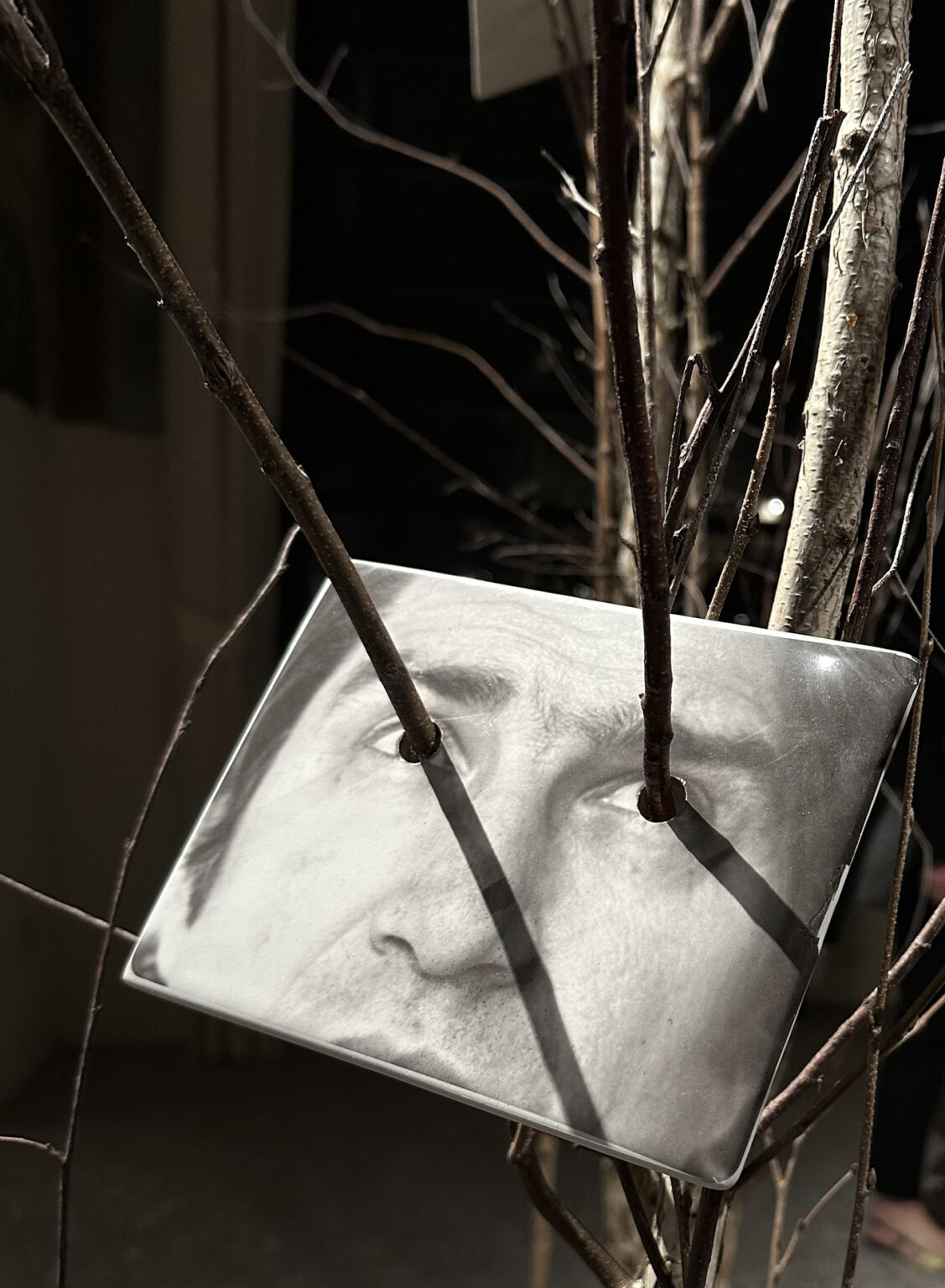 Giuseppe Penone’s artworks on display in Rome | Atmosfera Mag