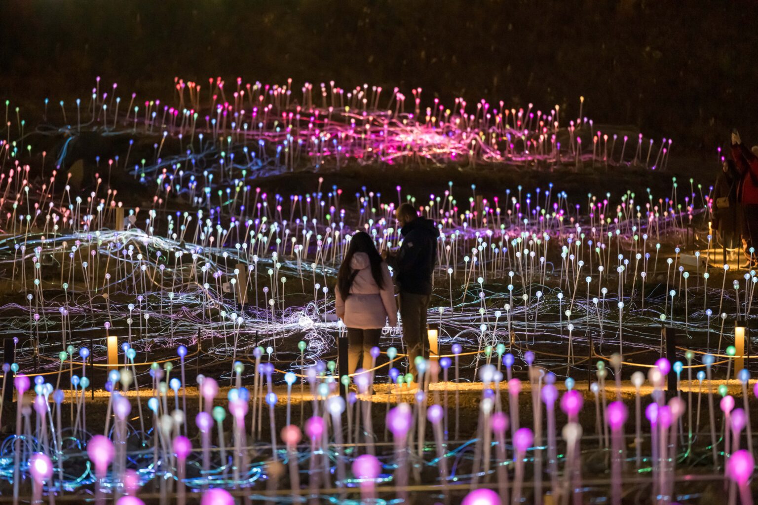 "Field of Light": the Art installation in New York | Atmosfera Mag