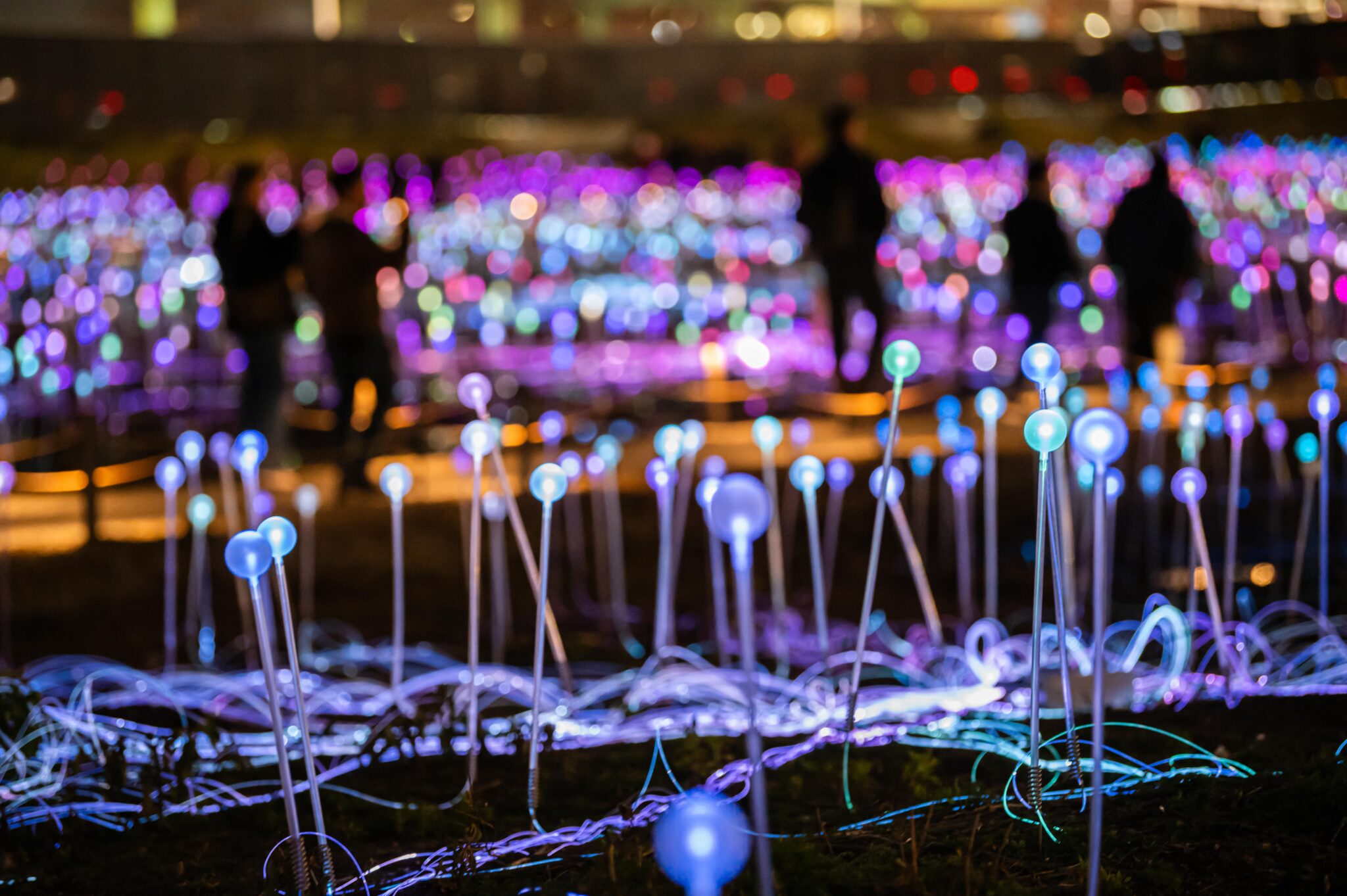 "Field of Light": the Art installation in New York | Atmosfera Mag